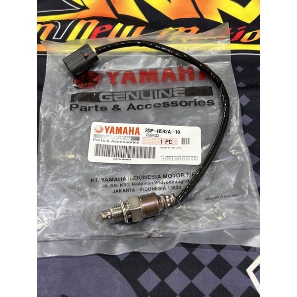 Genuine Oxygen Sensor Nmax v1/Souli125 2DP-H592A-10 | Lazada PH