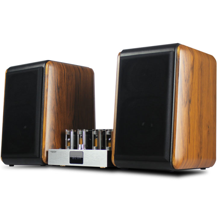 Fgoola YD-301 Electron Tube Gallbladder Power Amplifier Fever-grade ...