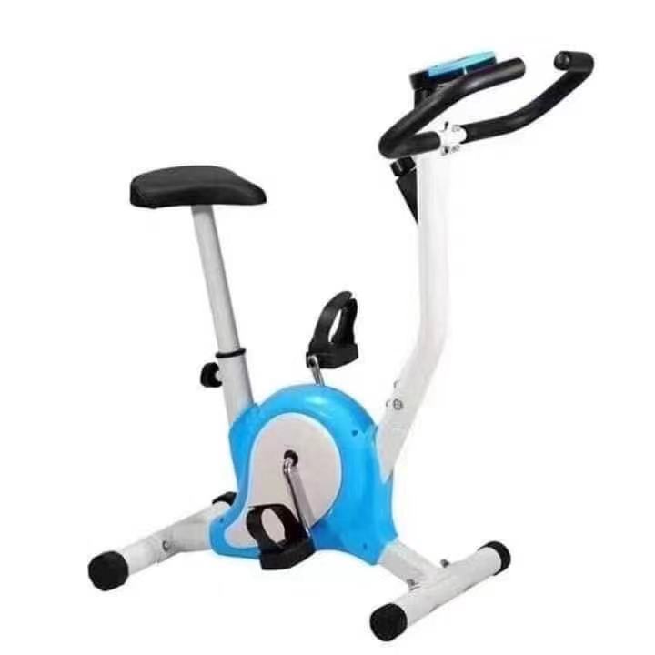 Indoor Upright Stationary Belt Exercise Bike ( blue) | Lazada PH