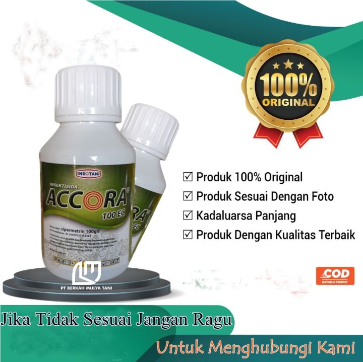 Insektisida Accora 100 EC Obat Hama Kutu Daun Putih Kebul Dan Thrips ...