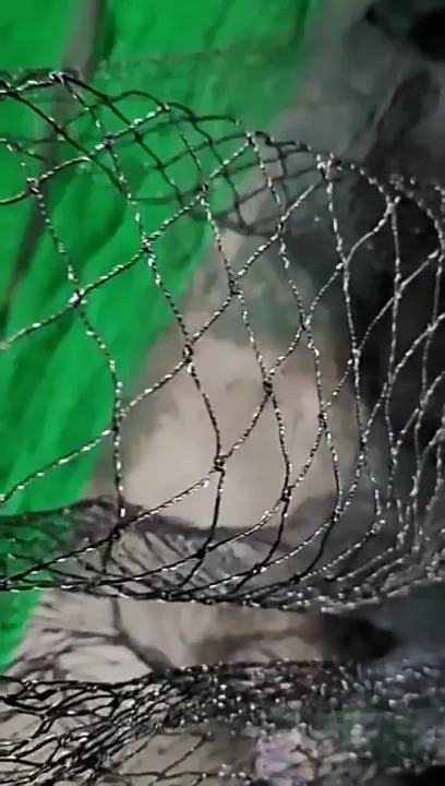 High Density Cats Safety Net for Window and Balconies Steel Wire ...