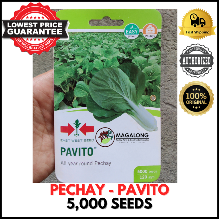 EAST-WEST SEEDS - PECHAY SEEDS - PAVITO 5,000 Seeds | Lazada PH