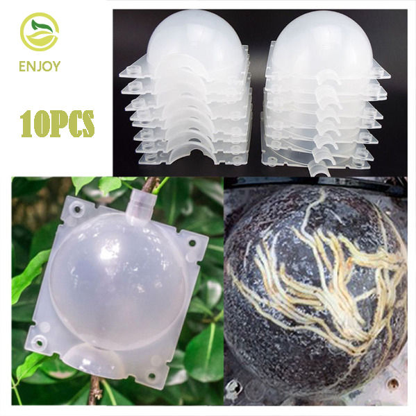 10PCS Plant Rooting Equipment High Pressure Propagation Ball Garden ...