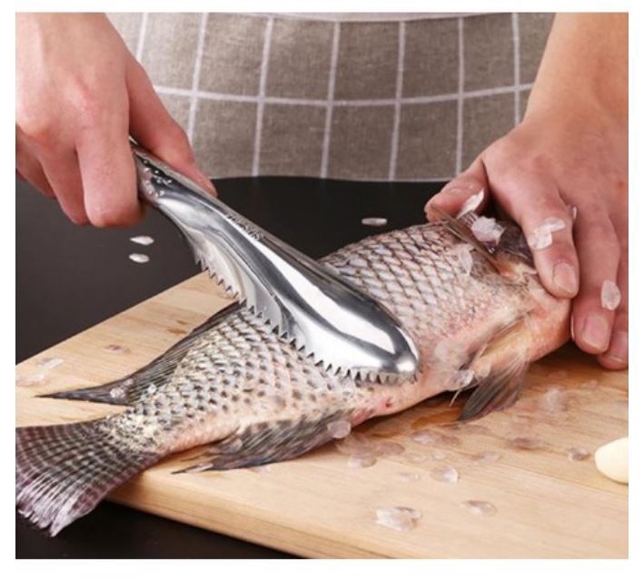 Stainless steel/Plastic fish scale/blade/fish | Lazada PH