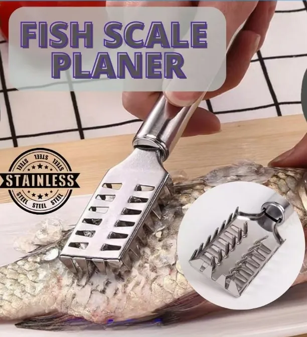 Pan Fish Phosphorus Household Metal Planing Scale Manual Quick Scale Scraper | Lazada