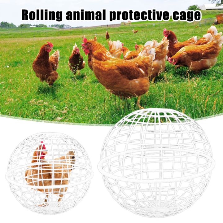 Chicken Ball Cage Livestock Roaming Cage Portable Round Chicken for ...