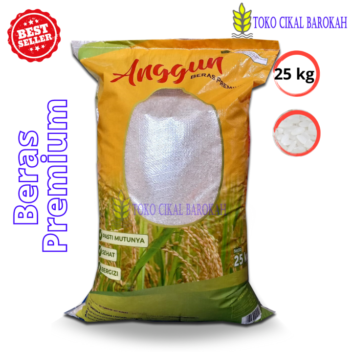 Beras Anggun Premium 25 Kg | Lazada Indonesia