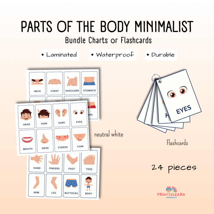 Parts of the Body Minimalist 3-Bundle Charts or Flashcards Laminated ...