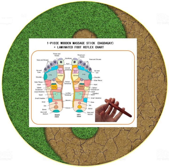 Dagdagay Traditional Filipino Foot Massage Stick Reflexology Massage ...