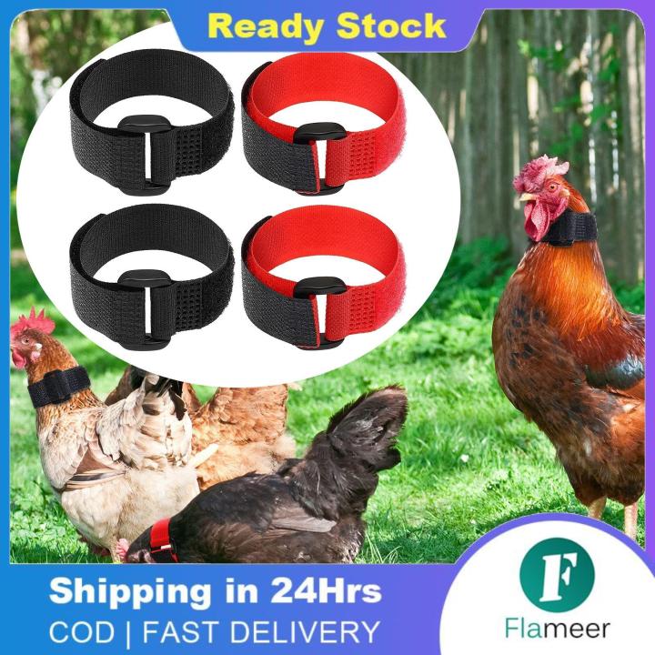 Flameer Adjustable Rooster Collar Prevent Chicken Screaming Set of 4 ...