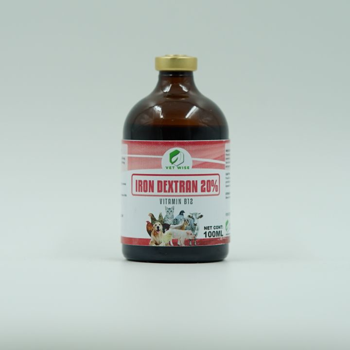 Iron Dextran 20% (100ML) | Lazada PH