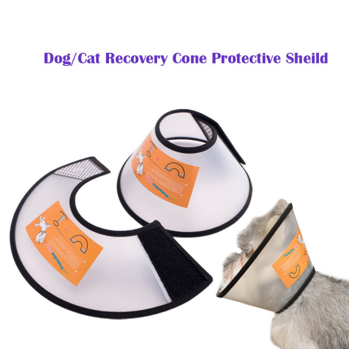 [SG] Pet Cat/Dog Shield Protective Cover - Pet Elizabethan Collar Cone ...