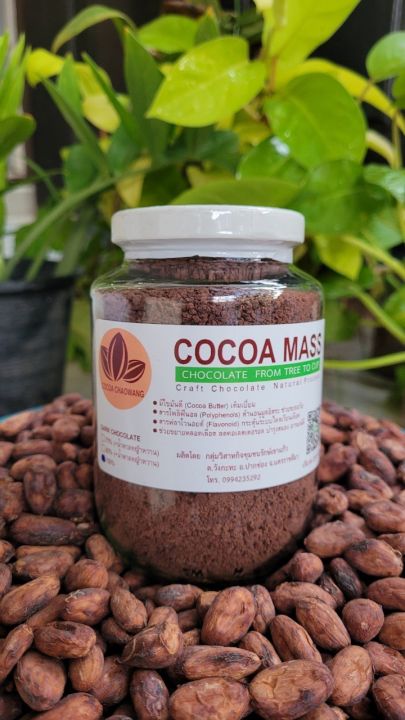 โกโก้แมส (Cocoa Mass) | Lazada.co.th
