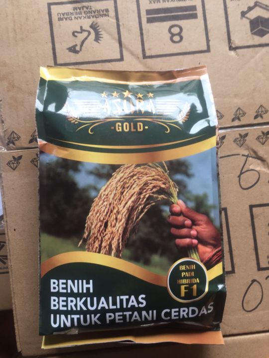 BENIH PADI SAINGAN MAPAN 05, BENIH PADI ASURA GOLD F1 HASIL RATA" 12 ...
