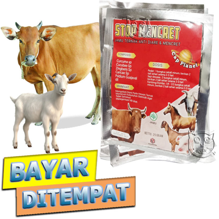 Stop Mencret Obat Diare Sapi Kambing Domba Kerbau Kuda Pencernaan ...