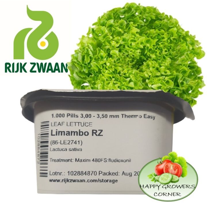 Limambo RZ Lollo Bionda Lettuce by RIJK ZWAAN (1,000 pills /Original ...