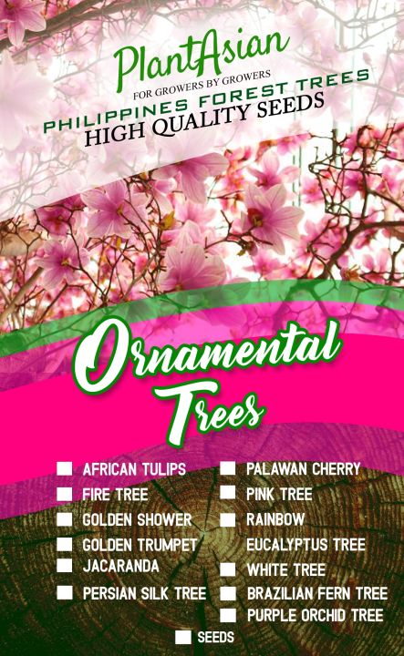 RAINBOW EUCALYPTUS OR BAGRAS TREE SEEDS 100 PCS | Lazada PH