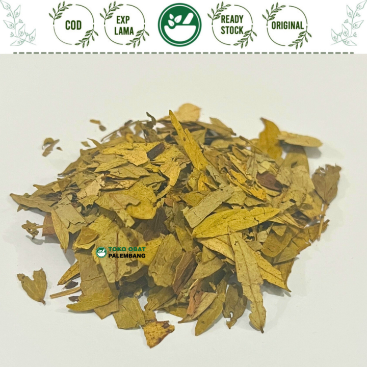 DAUN JATI CINA 100 GRAM PHAN XIE YE SENNA Cassia angustifolia DAUN JATI ...