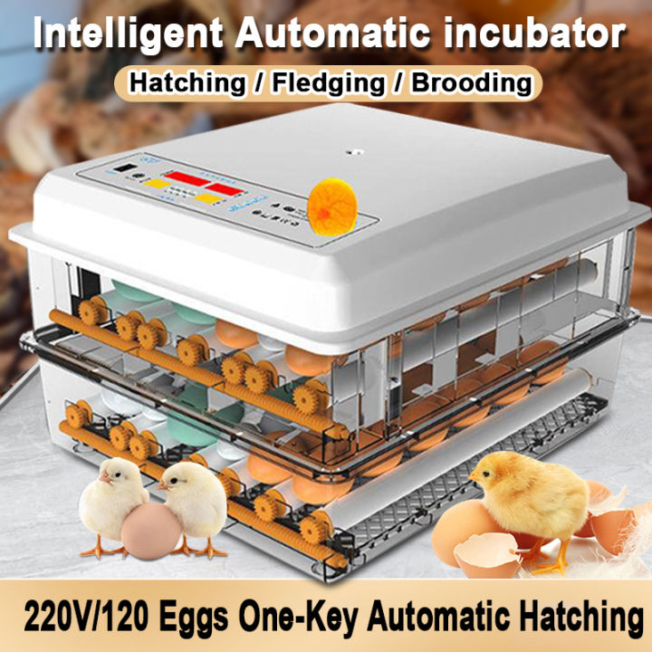 Fully Automatic Digital Incubator 220V Egg Incubator 16/36/64/120 Egg ...