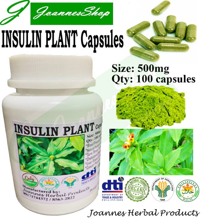 [100 CAPSULES] INSULIN PLANT CAPSULES 500MG | Lazada PH