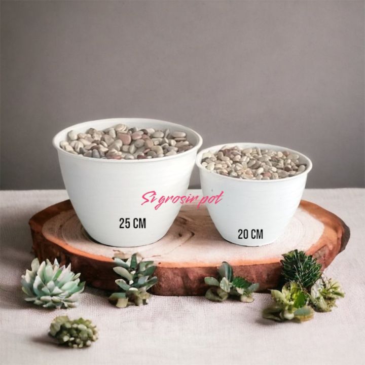 {dnd}POT TAWON , POT PIRUS + BATU ALAM pot dengan batu alam hias ,pot ...