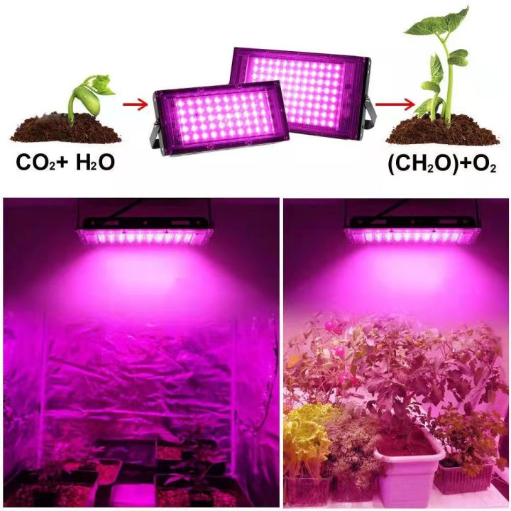 50W 100W Grow LED Light AC220V LED Full Spectrum LED zwd Floodlight ...
