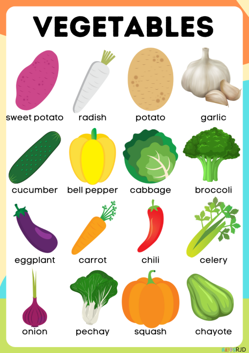 Educational Chart Laminated A4 Size - Vegetables, Fruits, Fast Food ...