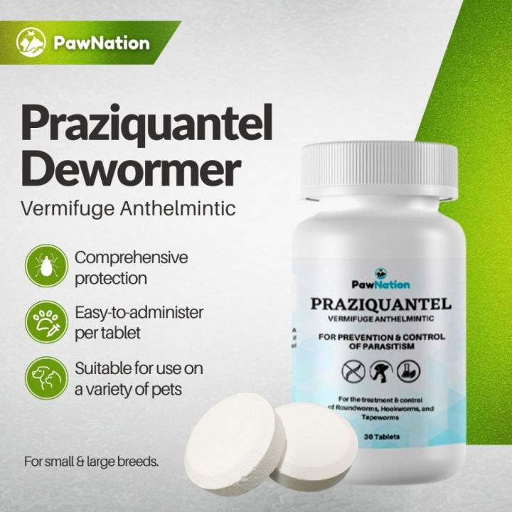 PawNation Praziquantel Dewormer Tablet for Adult Dog Puppy Pet ...