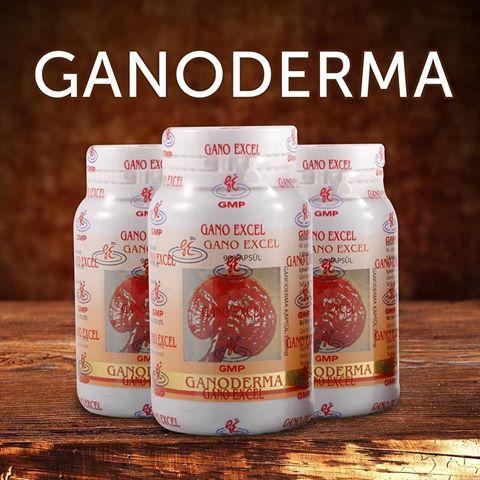 GANODERMA 90 capsules - GANO EXCEL - | Lazada