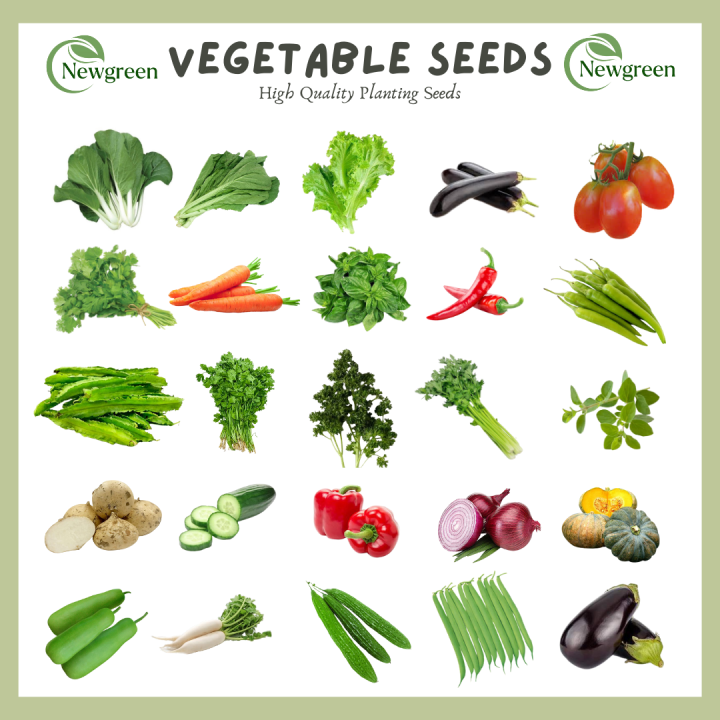 Vegetable Seeds (HIGH QUALITY HIGH GERMINATION ) Pechay Mustasa Kamatis ...