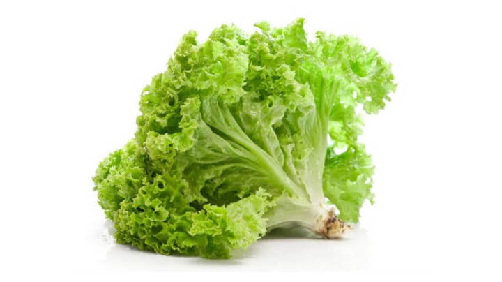 ORGANIC VEGETABLES - LETTUCE / Sayur Salad 200GM 生菜 | Lazada