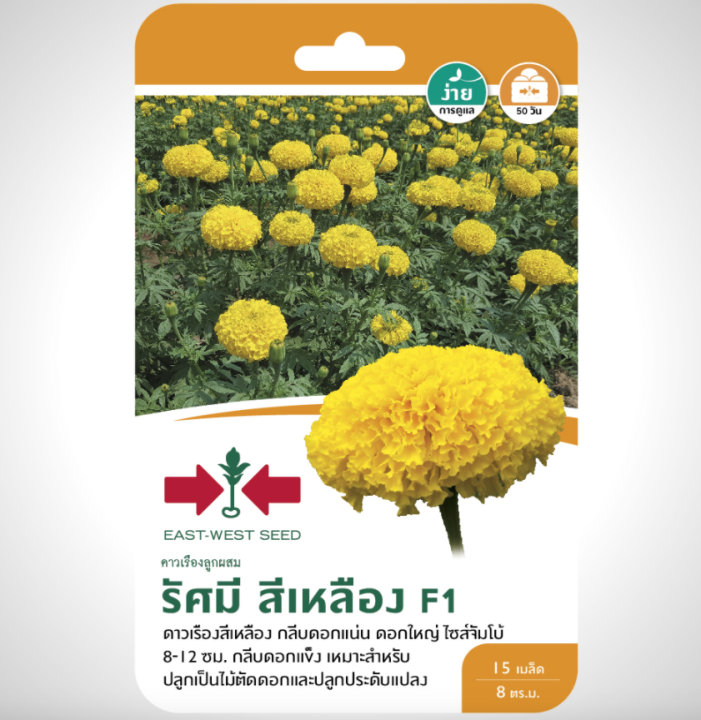 ดาวเรือง รัศมี สีเหลือง SD/FW-003 ผักซอง ศรแดง F1 เมล็ดพันธุ์ เมล็ด ...