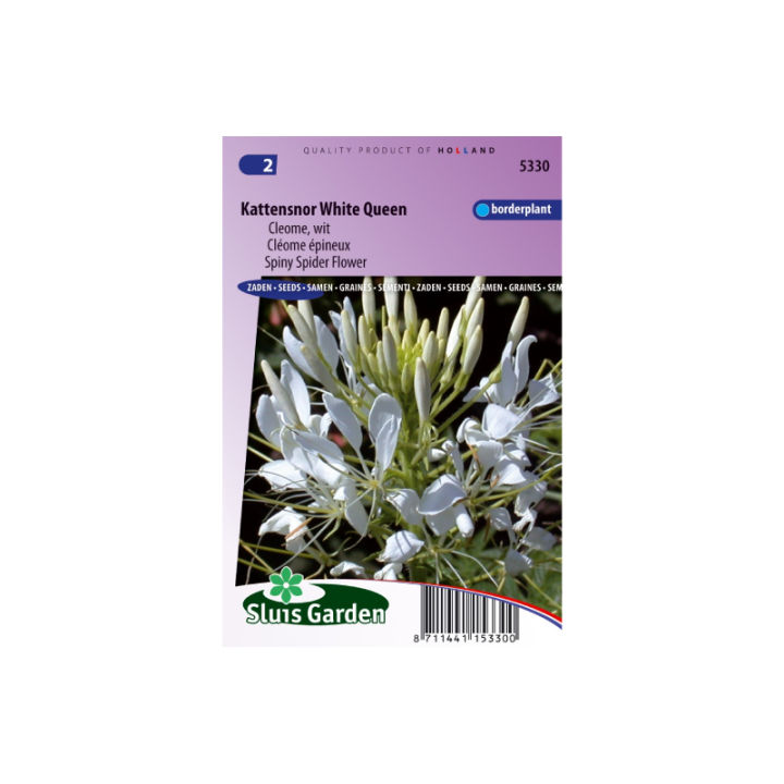 Far East Flora - Sluis Garden Seeds - SL5330 Spiny Spider Flower White ...