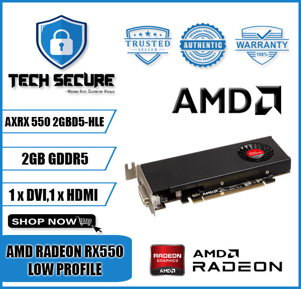 AMD RADEON RX550 2GB LOW PROFILE TRAYTYPE | Lazada PH