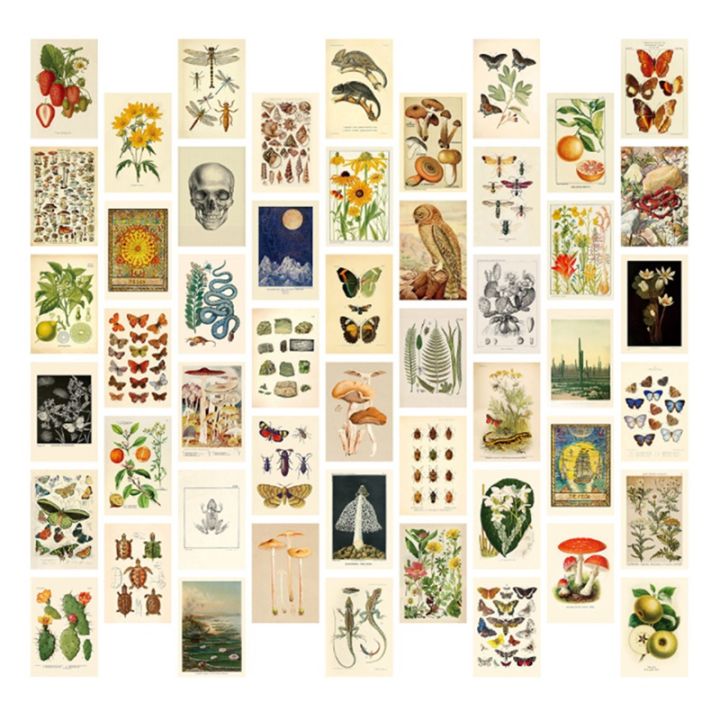 Vintage Aesthetic Wall Collage Kit - 50 Mini Botanical Collage Art ...