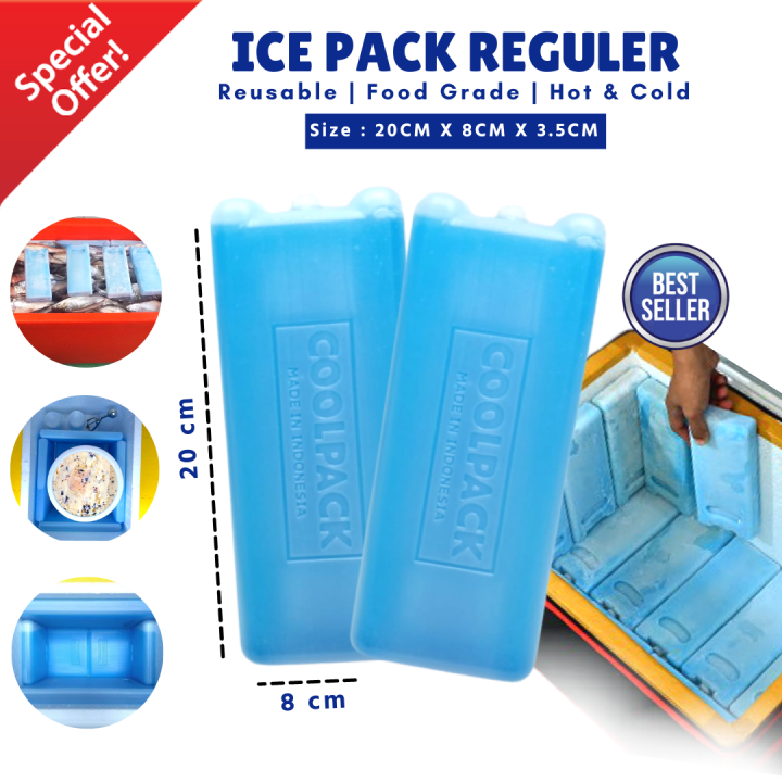 ICE PACK KOTAK BLUE ICE KECIL 20x8x3 Ice Cooler Box Tempat Pendingin ...