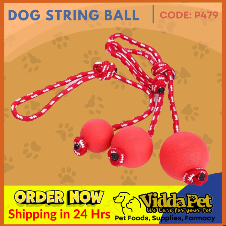 Interactive training teether string Ball Rope Solid Bite Resistant Ball ...