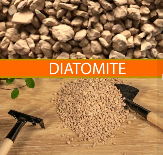 Diatomite - Đất Tảo Cát Hữu Cơ (cân lẻ) | Lazada.vn