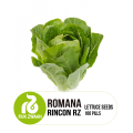 Rijk Zwaan RZ Pelletized Lettuce Seeds 100pcs | Olmetie Lalique Invicta ...