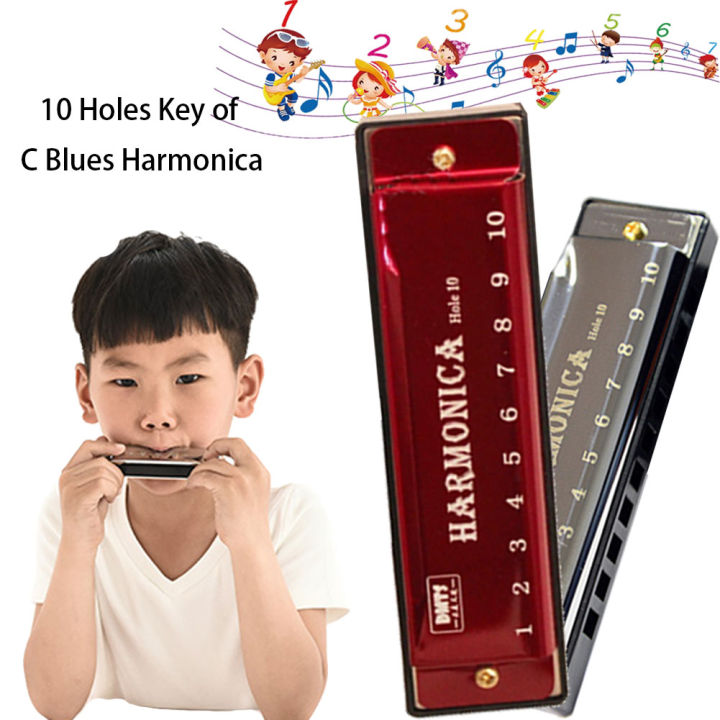 10 Holes Harmonica C Key Blues Metal Harmonica Musical Instrument ...