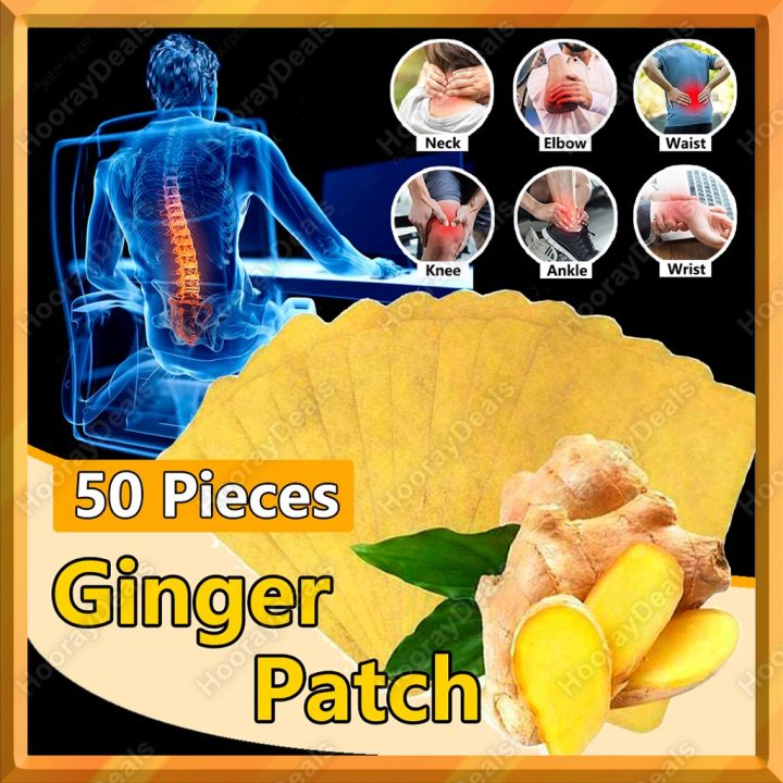 50Pcs Herbal Ginger Patch, Promote Blood Circulation, Relieve Pain and ...