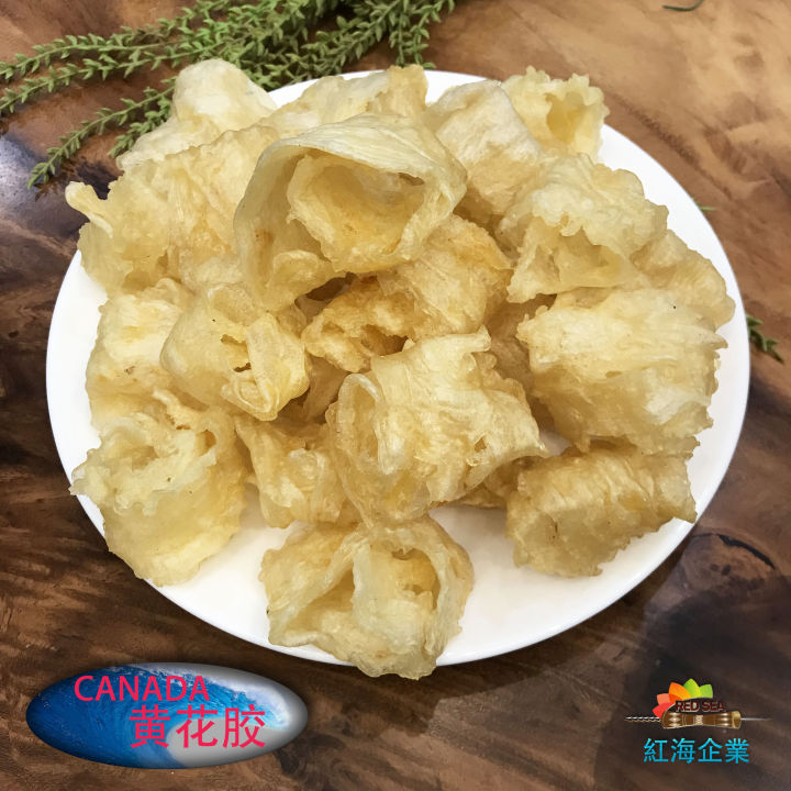Red Sea 【ECONOMIC PACK】Canada Fish Maw 加拿大黄花胶 (100g/300g/500g) | Lazada