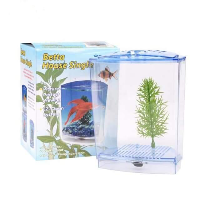 3366 Venys Betta House Single Tank斗鱼缸塑料（单盒）-VENY SINGLE TANK | Lazada