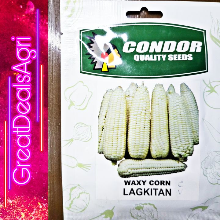 LAGKITAN OPV WAXY CORN SEEDS (10 GRAMS) CONDOR SEEDS | Lazada PH