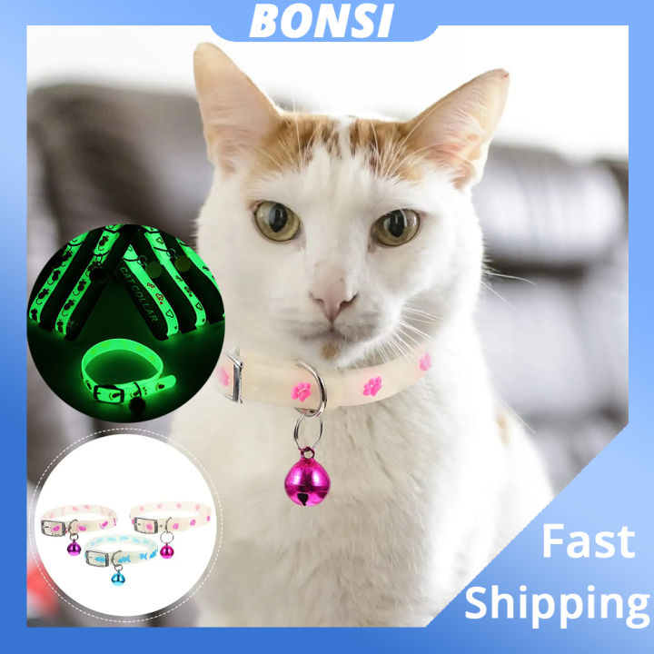 Glow Pet Collar Cat Dog Night Safety Flashing In The Dark Dog Leash ...