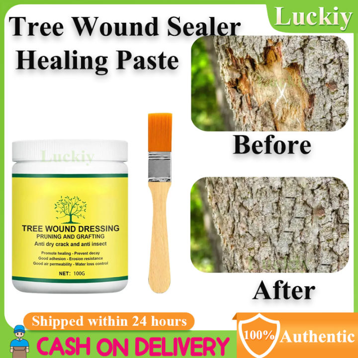 Tree Pruning wound healing Cream Lime Sulfur Bonsai Cut Paste Tree ...