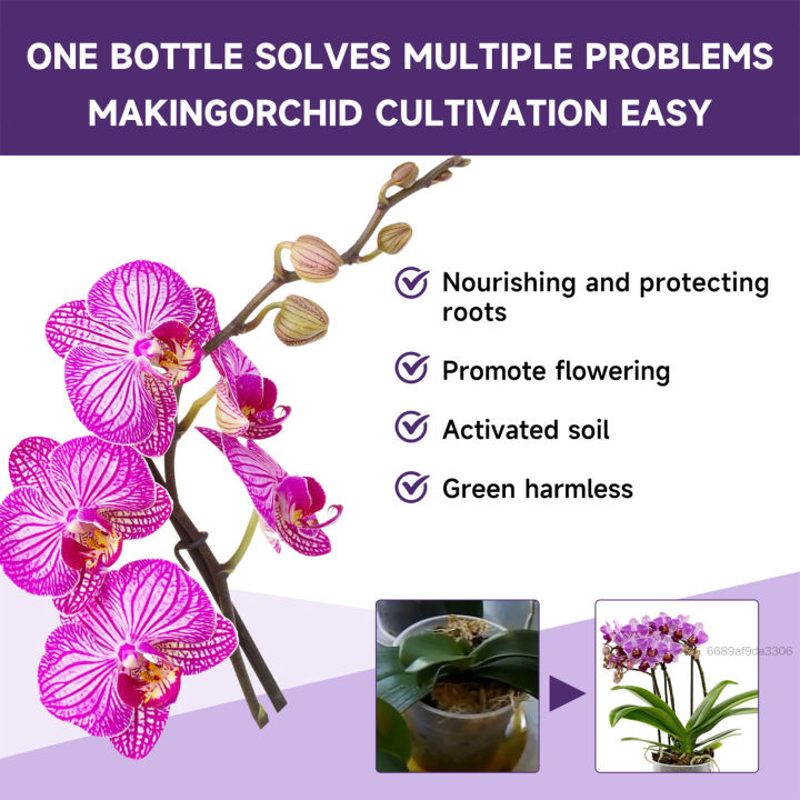Orchid Growth Nutrient Fertilizer Natural Ingredients Root Boost ...