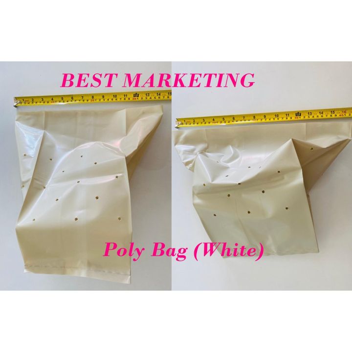 1KG White PolyBag /Plastik Semaian Putih | Lazada