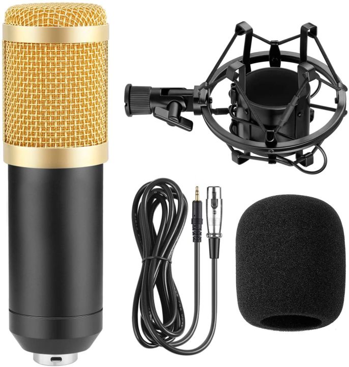 BM-800 Cylindrical Microphone | Lazada PH