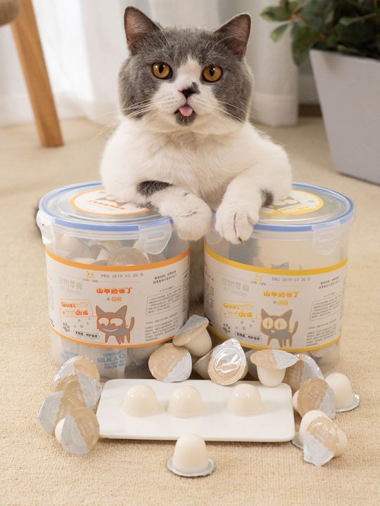 Goat's Milk Pudding Cat &kitten Treats Buy 5 get 1 free Wet Food ...